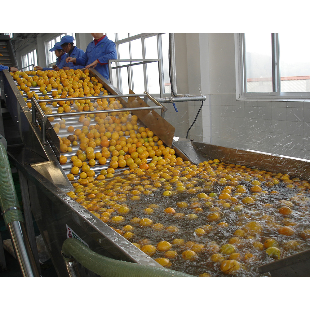 Fruit Washing Machine